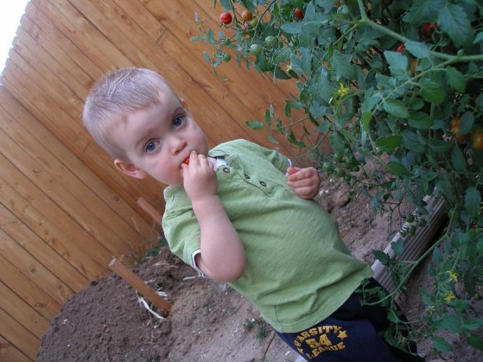 Getting Kids to Eat Their Veggies | The Lazy Homesteader