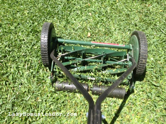 Tips for Using Your Push Mower | The Lazy Homesteader